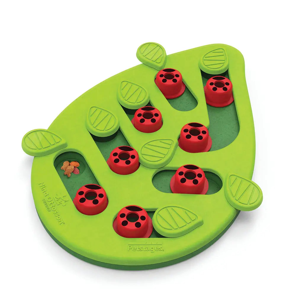 Jouet interactif - Buggin' Out - Stimulation Mentale et Physique – Dog ...